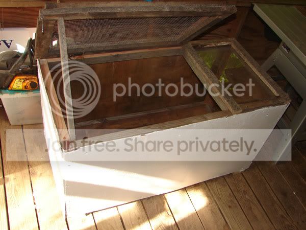 BROODER thread! Post pics of your brooders! | Page 160 | BackYard ...