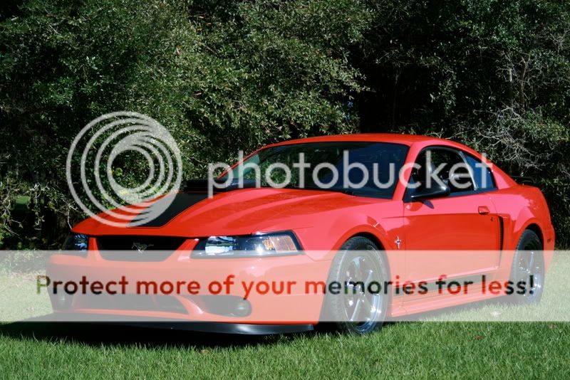 A few pic or two of my #### box... | Ford Mustang Forums