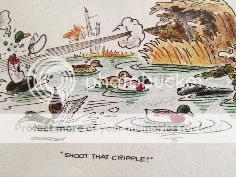 Favorite duck hunting Cartoon. :) | Duck Hunting Forum