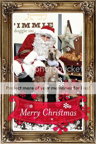 No one likes being put in a headlock by Santa! | Doberman Forum ...