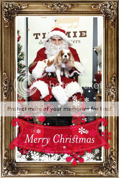 No one likes being put in a headlock by Santa! | Doberman Forum ...