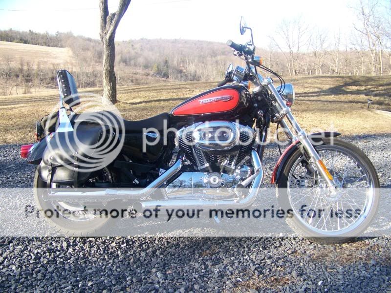My 1200 custom with nightster mufflers. - The Sportster and Buell ...