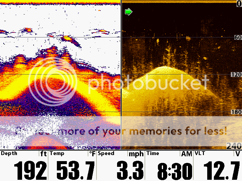 Humminbird Down Imaging shots.. (pics) | GON Forum
